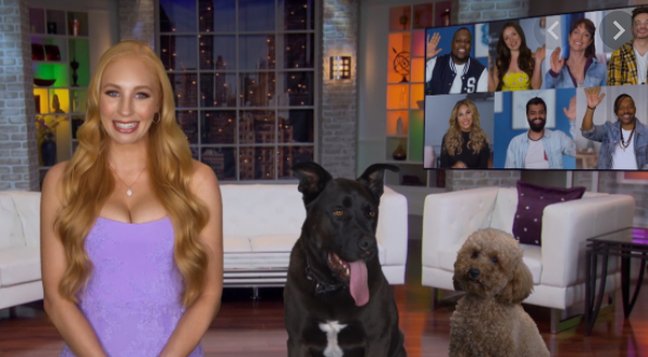 World’s Funniest Animals: Spring Fling Hosted By Elizabeth Stanton Airs ...